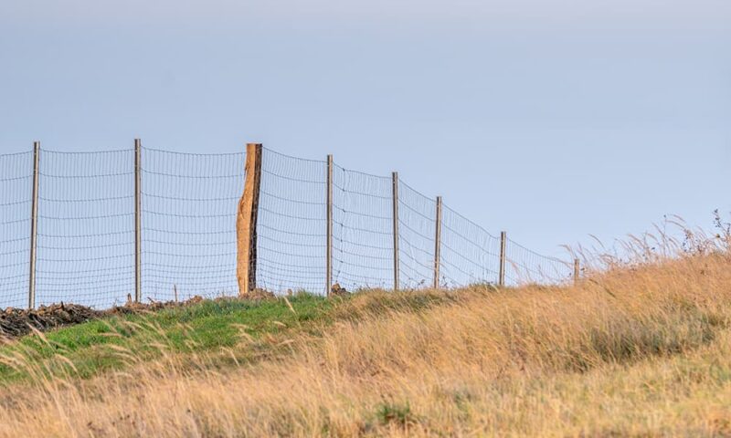 Module 4 – Beef Cattle Biosecurity