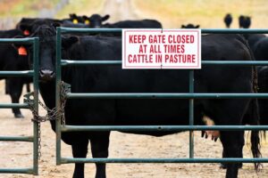 Module 3 – Beef Cattle Biosecurity