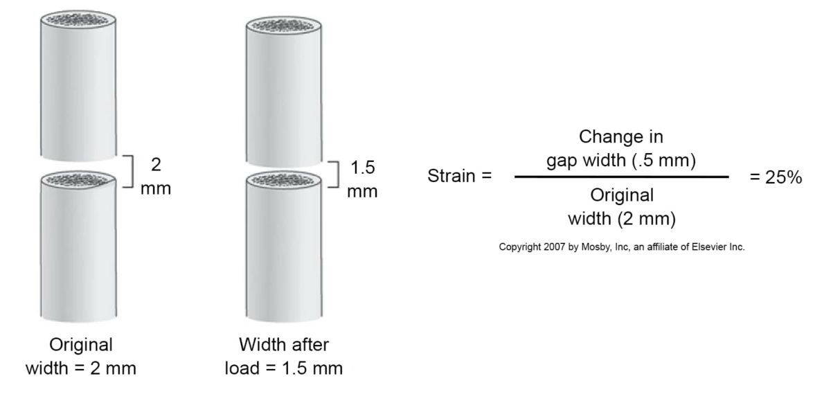 Fracture Healing – All-in-One Ortho-online