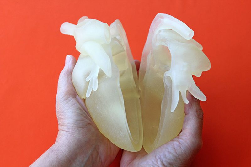 PRODUCT PROTOTYPE – Design Group @ Vet Med