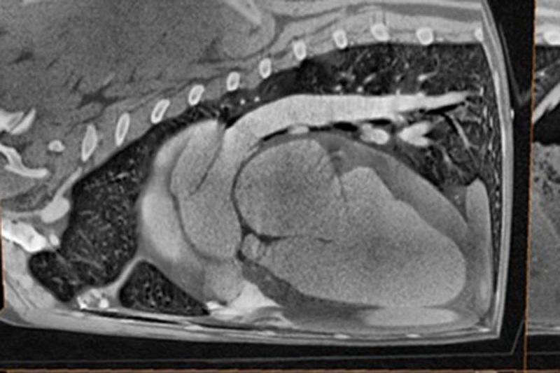 Stack Hearts – Design Group @ Vet Med