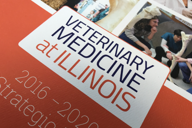 College of Veterinary Medicine – Design Group @ Vet Med