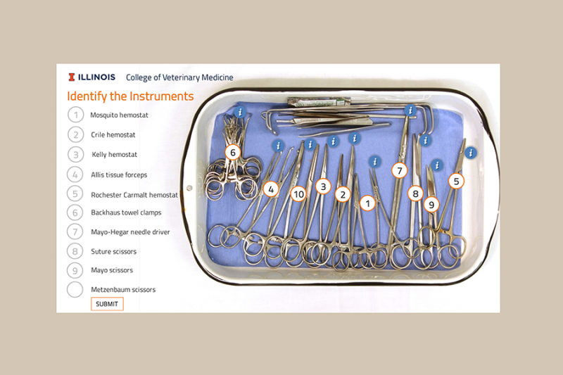 Instrument ID – Design Group @ Vet Med