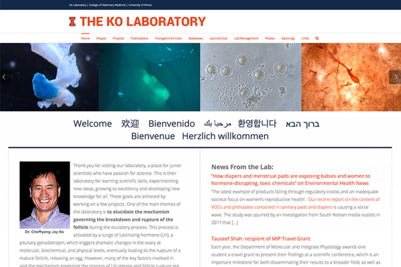 Ko Lab – Design Group @ Vet Med