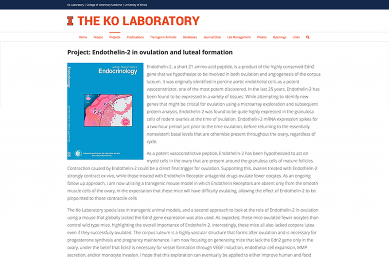 Ko Lab – Design Group @ Vet Med