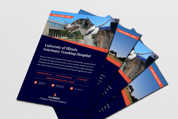 Veterinary Medicine Referrers Cards – Design Group @ Vet Med