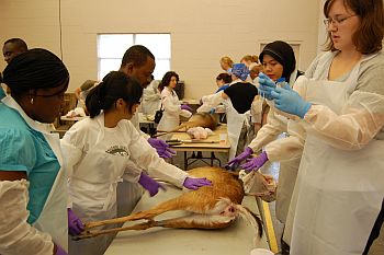 Envirovet Summer Institute