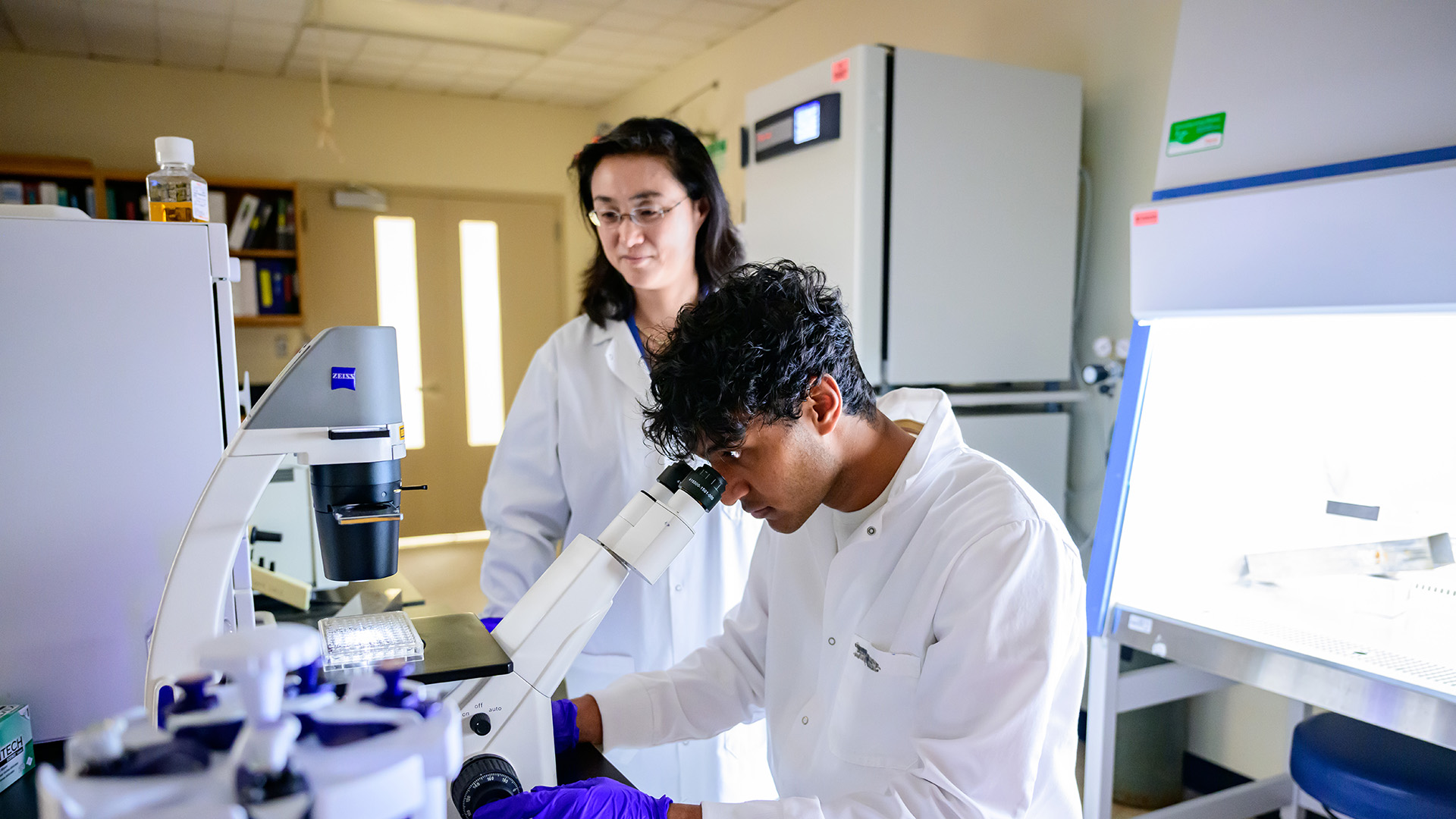 Research | Fang Lab | College of Veterinary Medicine | Illinois