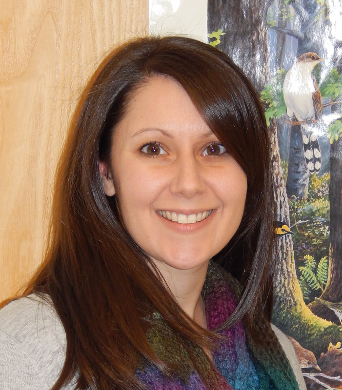 Research Team and History – I-TICK