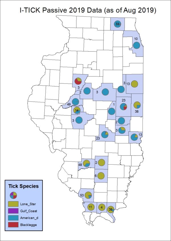 Information and Results – I-TICK