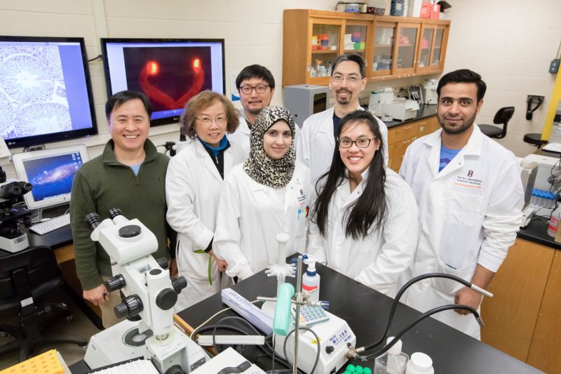 Laboratory Photos – Ko Laboratory