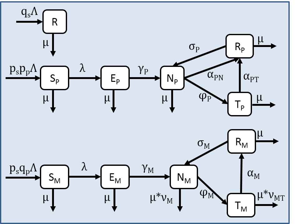 Research - Modeling for Disease Control Improvement