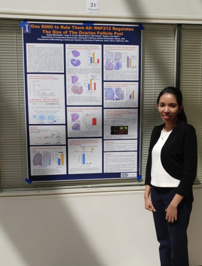 Gallery – Qiao Lab