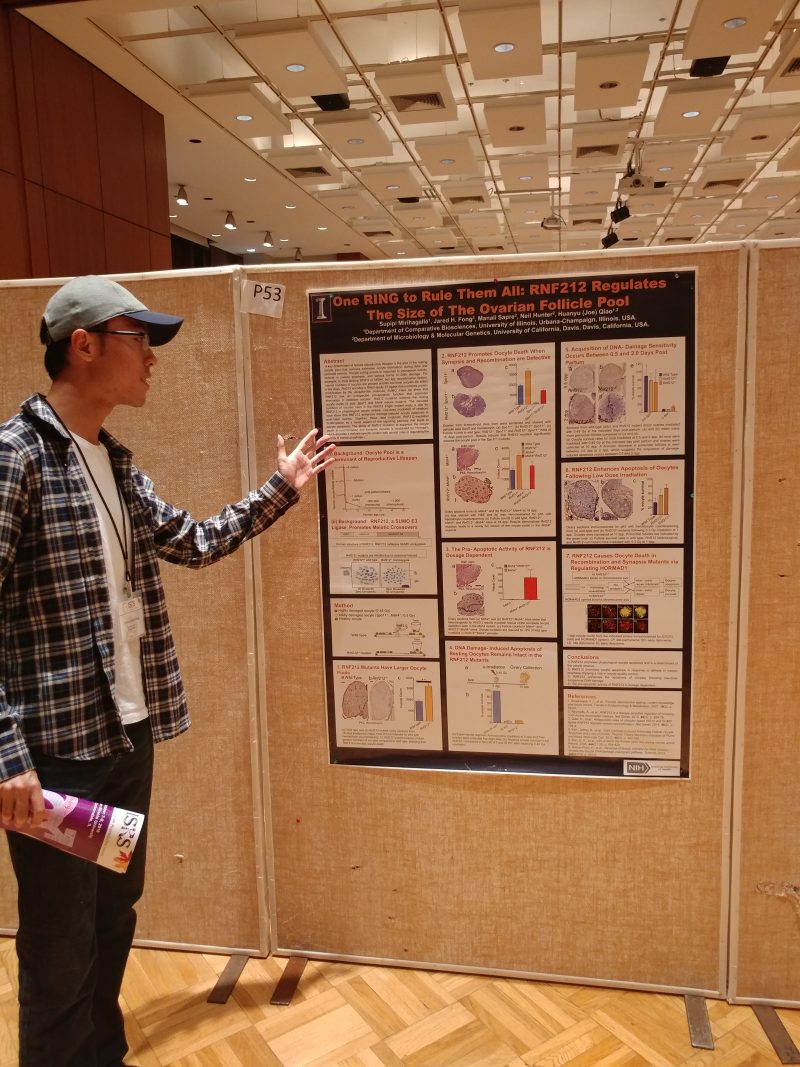 Gallery – Qiao Lab