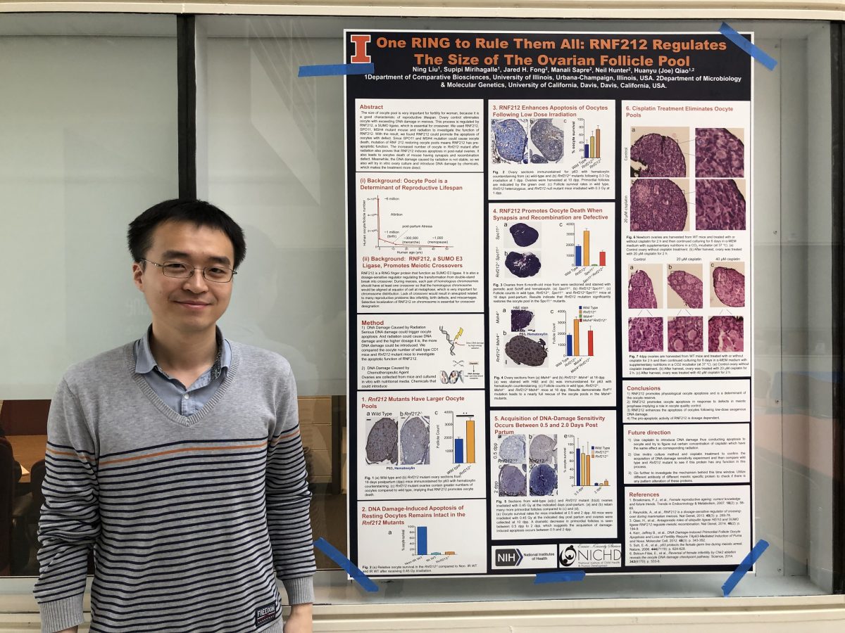 Gallery – Qiao Lab