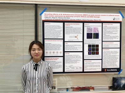 Gallery – Qiao Lab