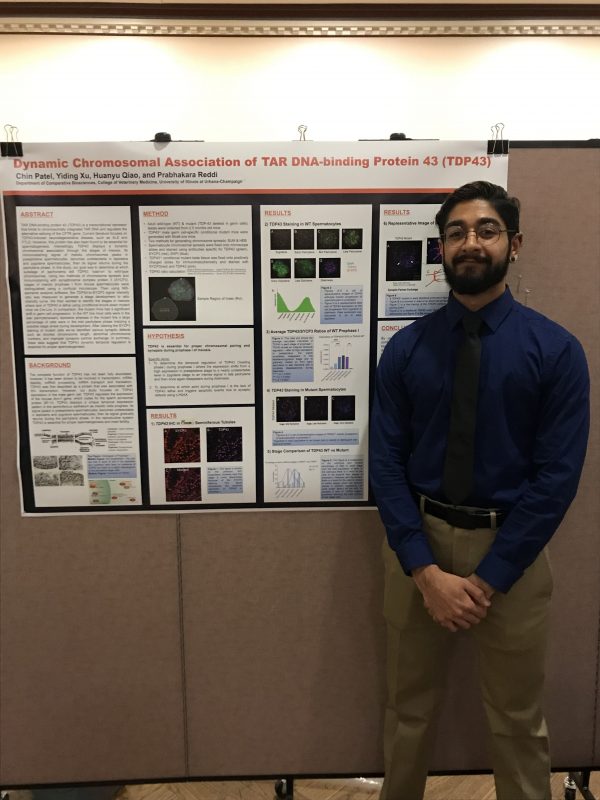 Gallery – Qiao Lab