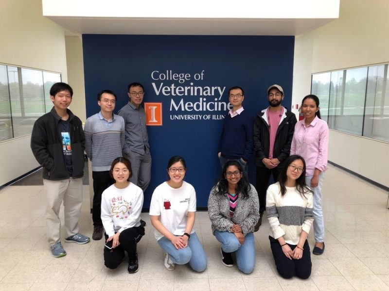 Gallery – Qiao Lab