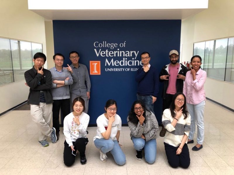 Gallery – Qiao Lab