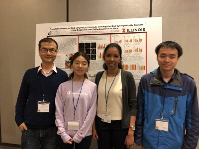 Gallery – Qiao Lab