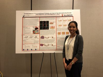 Gallery – Qiao Lab