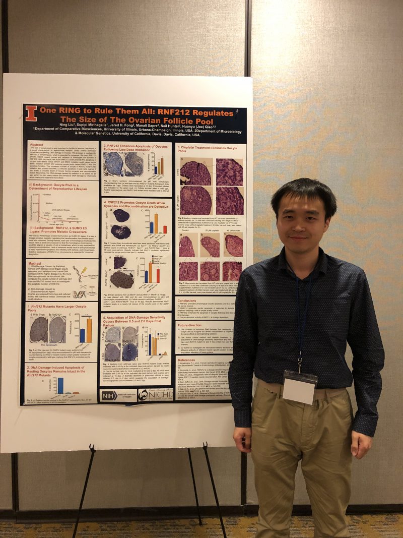 Gallery – Qiao Lab