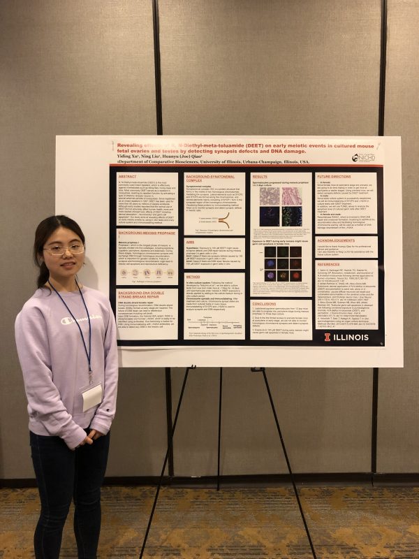 Gallery – Qiao Lab