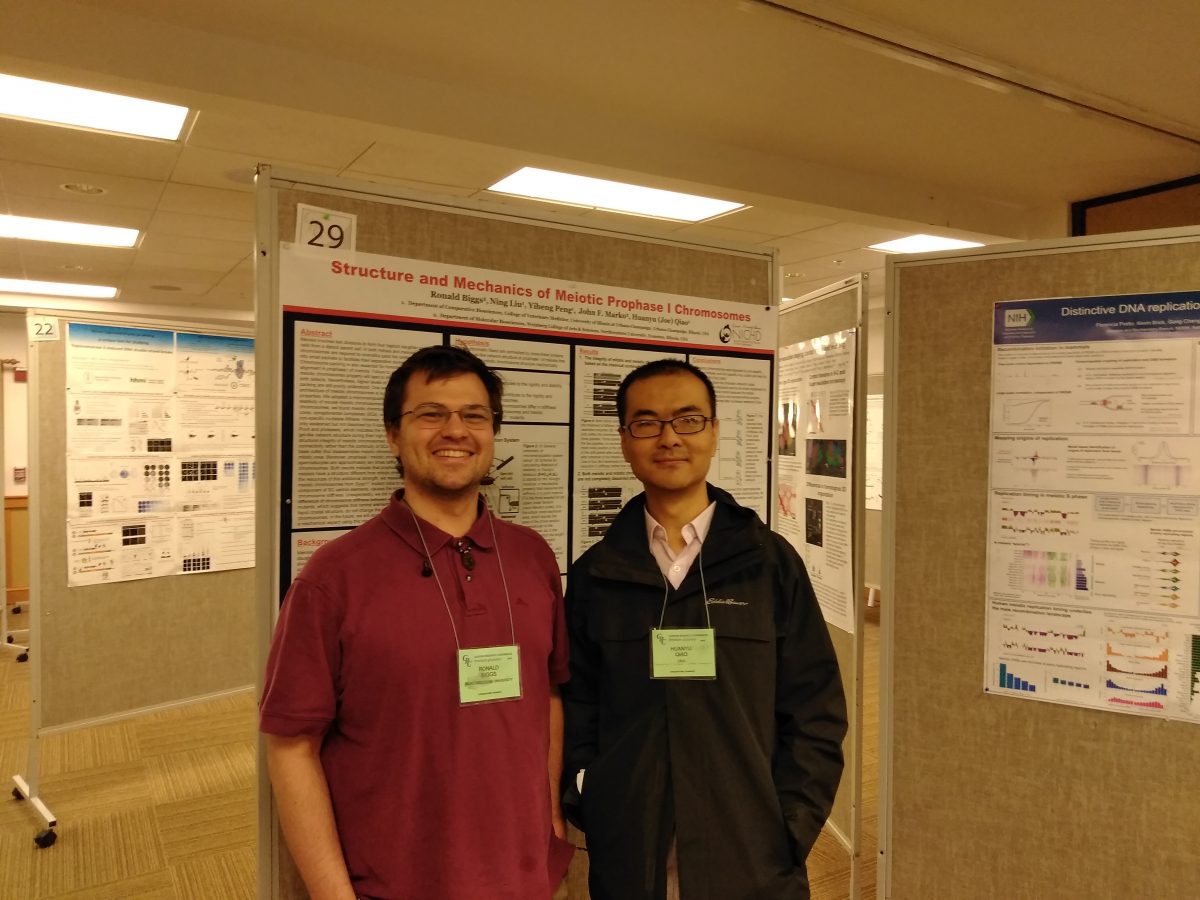 Gallery – Qiao Lab