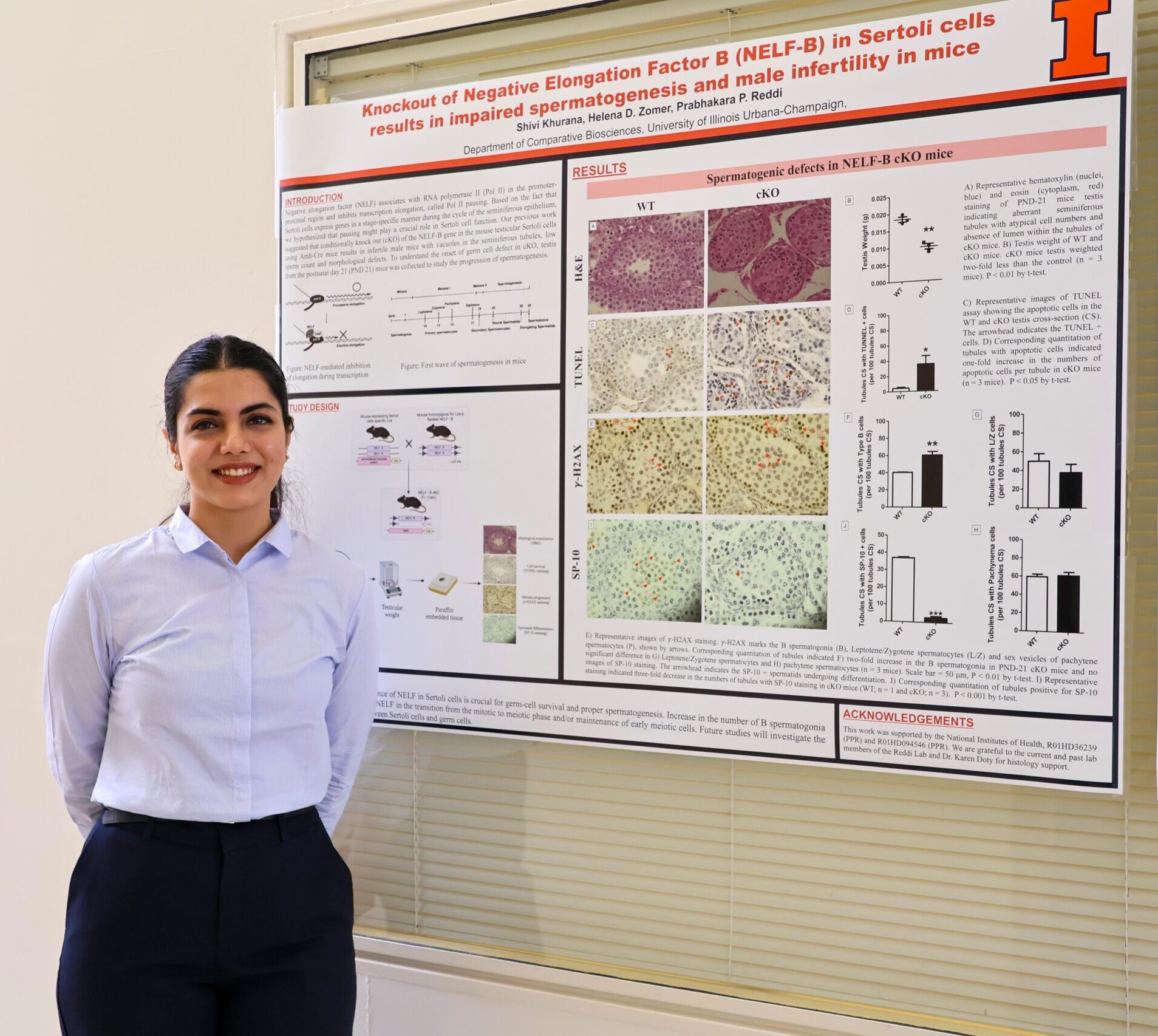 Lab Pictures – Reddi Lab