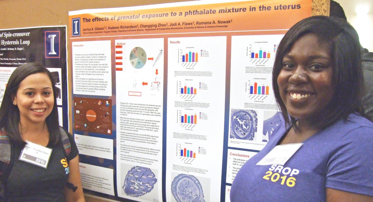 Suretox Image Gallery – SURE Tox