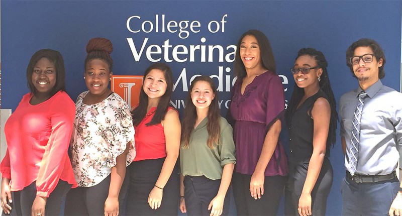 Suretox Image Gallery – SURE Tox