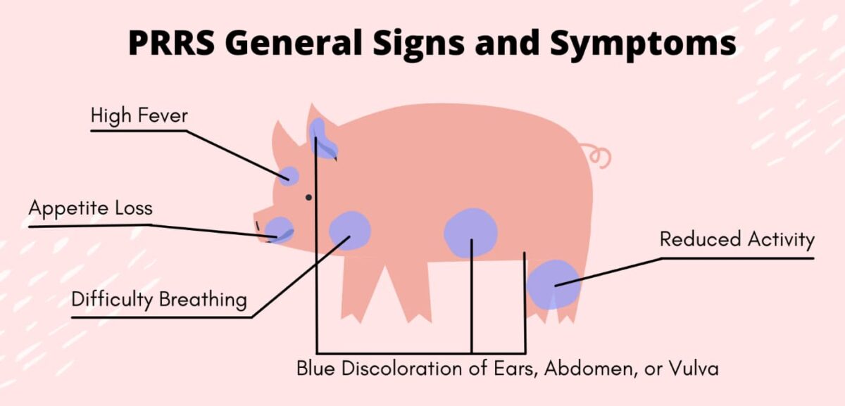 Module 1 – Swine Biosecurity