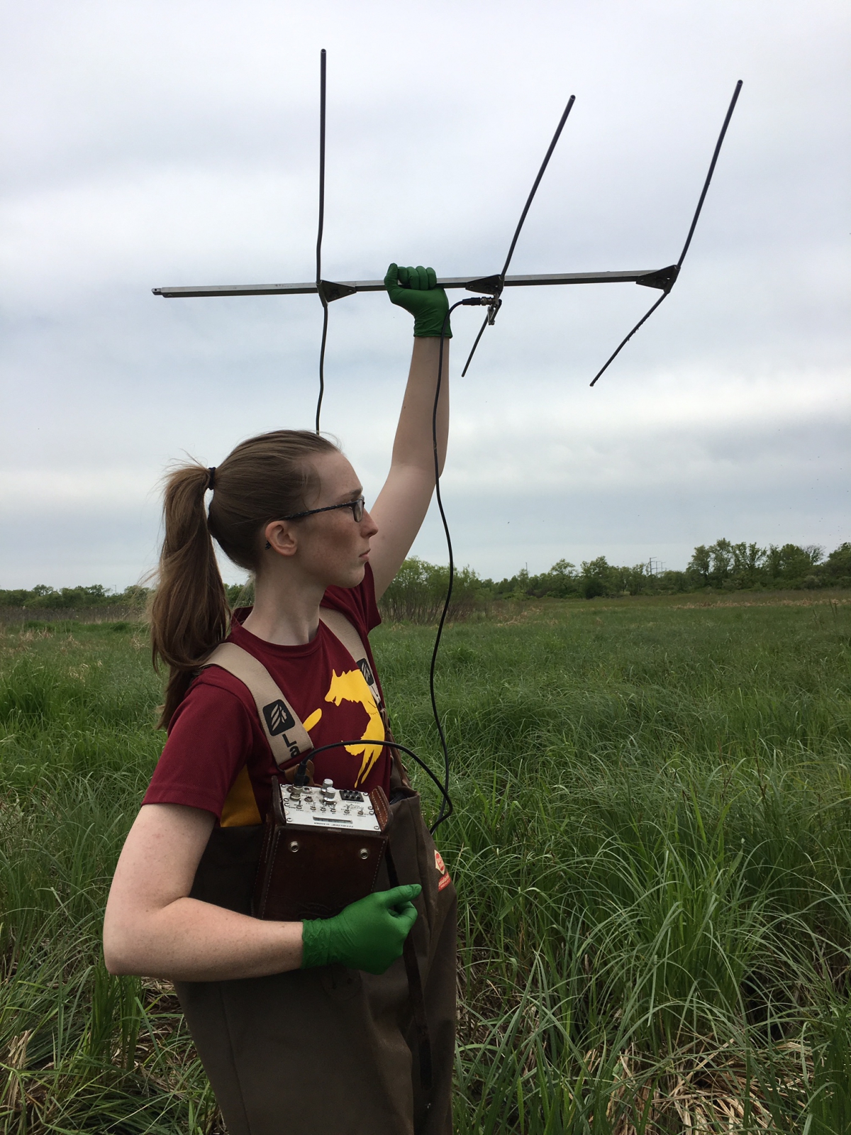 Week 2 – Radio Telemetry – Wildlife Epidemiology Laboratory