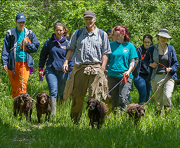 Wildlife Health Training – Wildlife Epidemiology Laboratory