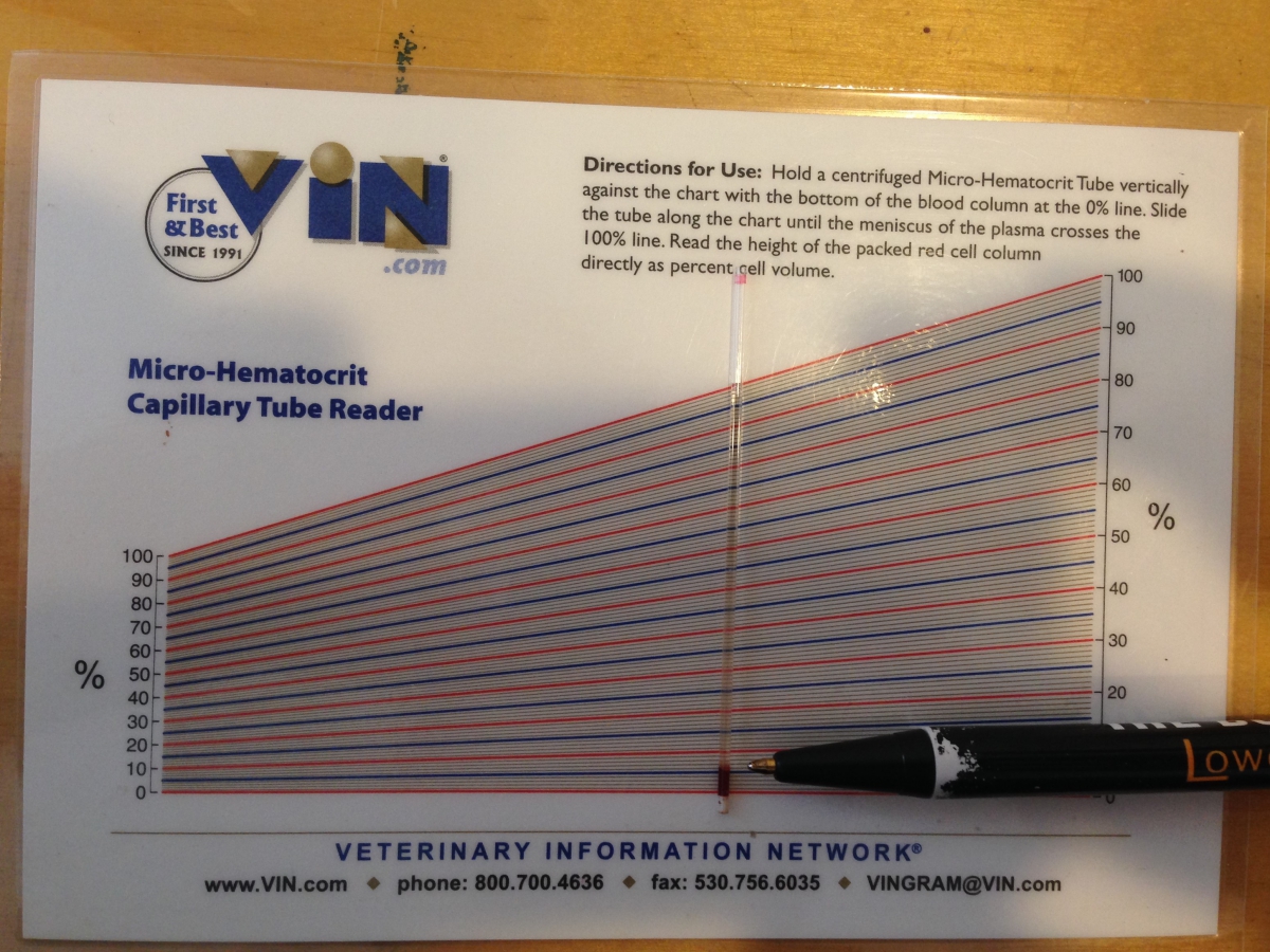 Week 4: The Lab – Wildlife Epidemiology Laboratory