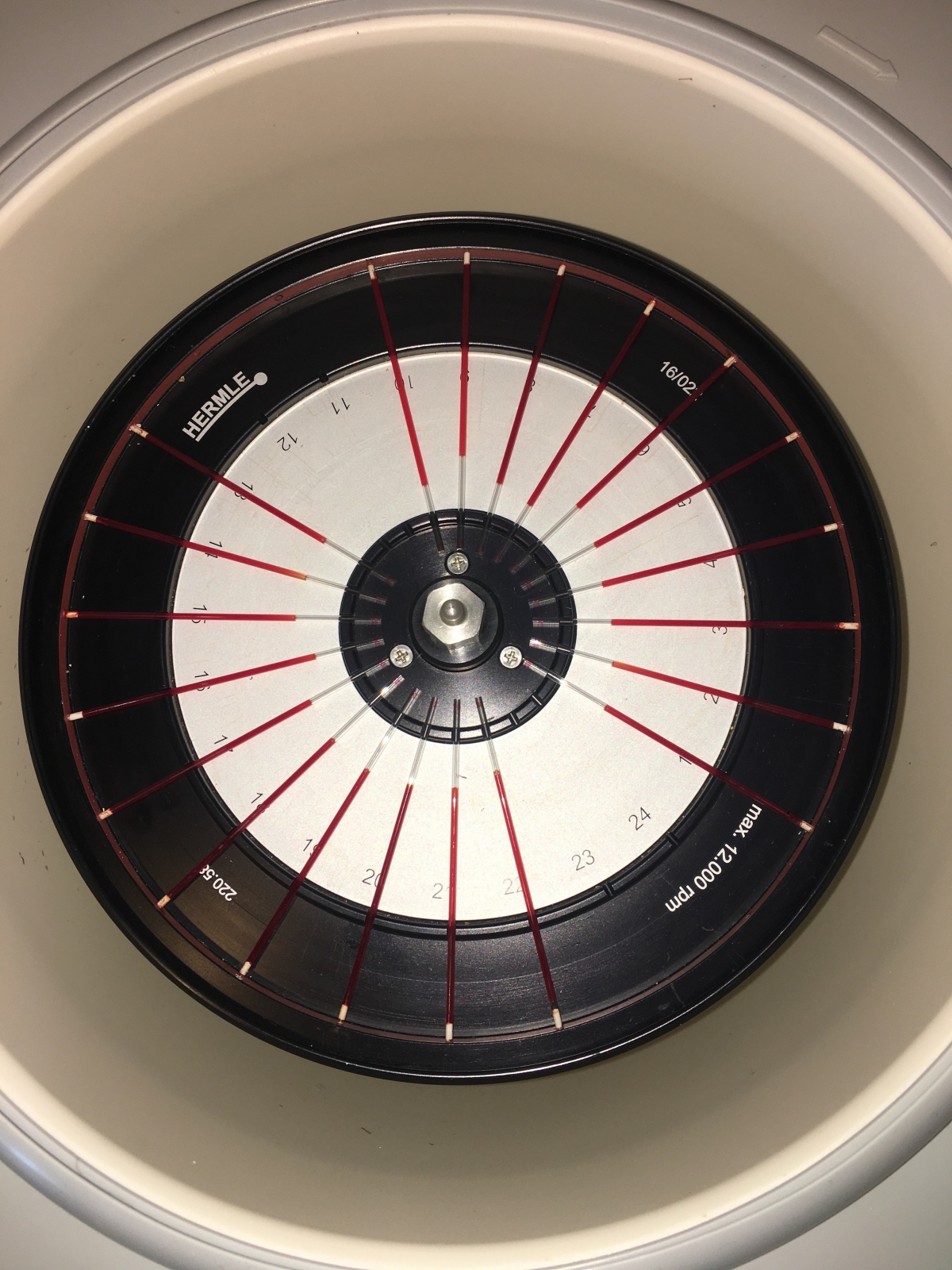 Week 4: The Lab – Wildlife Epidemiology Laboratory