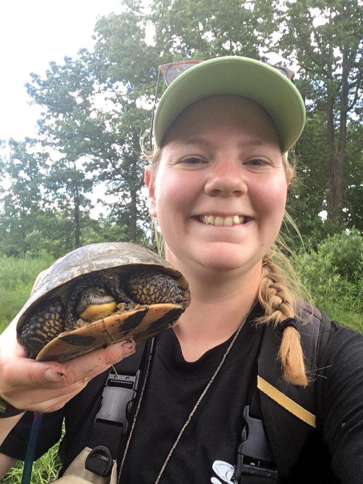 Week 8: Team work makes the dream work – Wildlife Epidemiology Laboratory