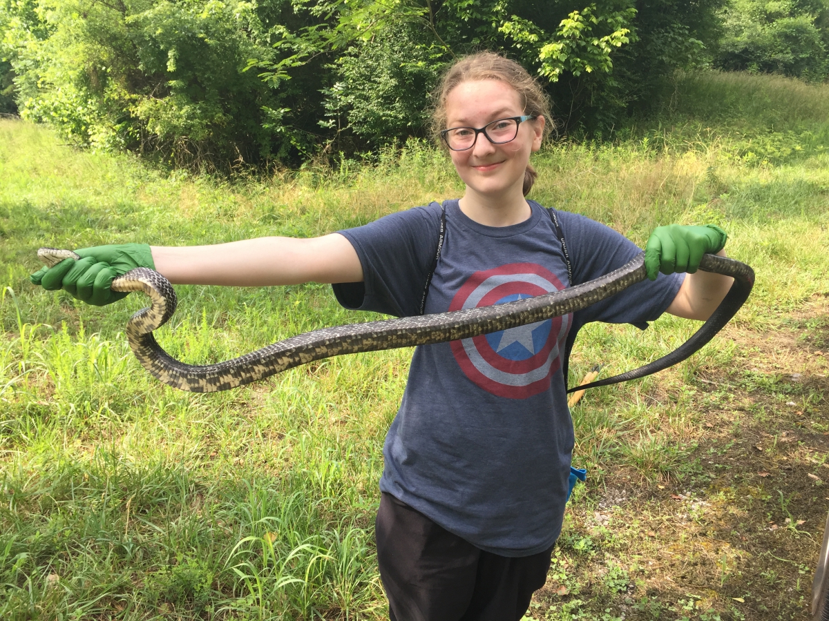 Week 1: Snake Wrangling – Wildlife Epidemiology Laboratory