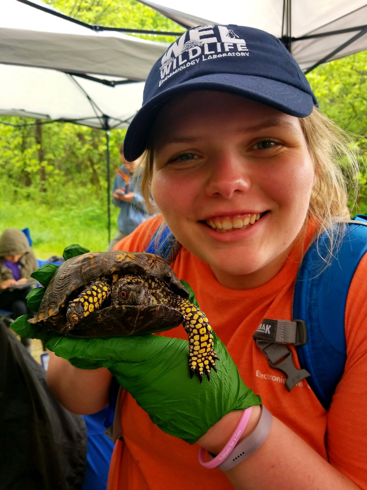 Meet the Turtle Team Leaders! – Wildlife Epidemiology Laboratory