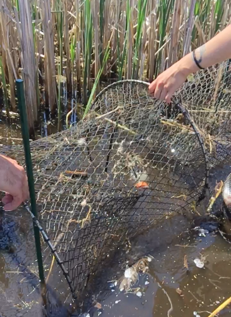 Week 1: Getting my bearings – Wildlife Epidemiology Laboratory