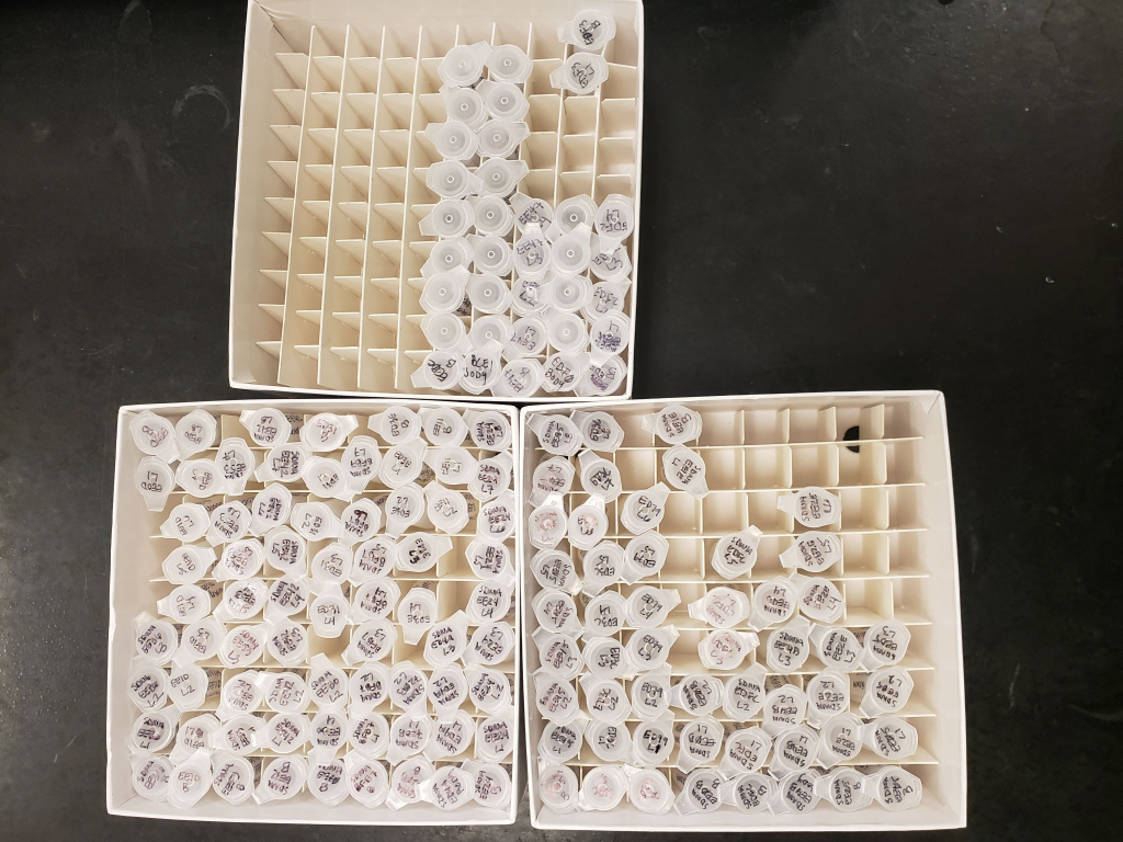 WEEK 5- WELcoming Our Incoming Class of LEWS – Wildlife Epidemiology ...
