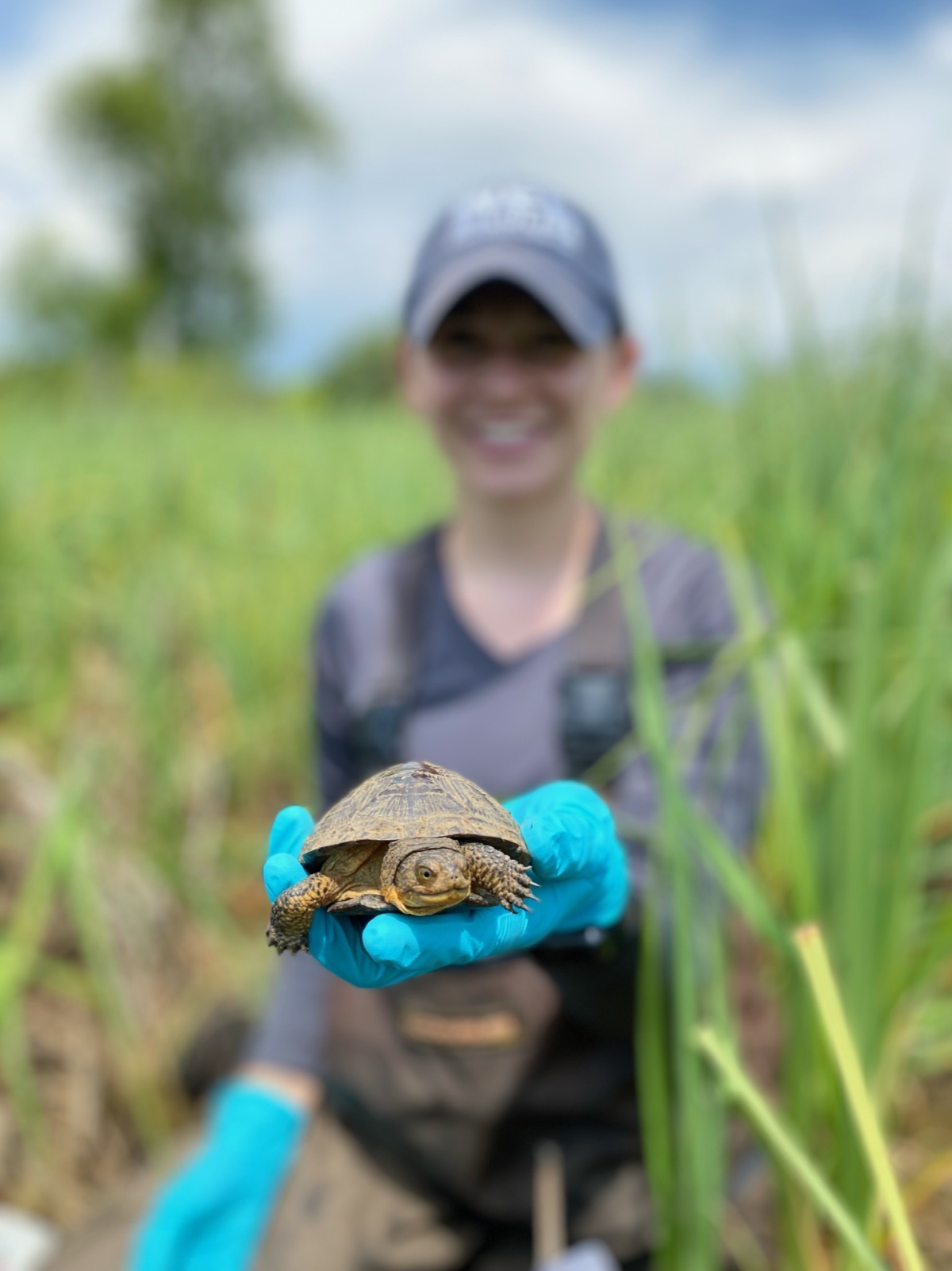 Trap Tales – Wildlife Epidemiology Laboratory