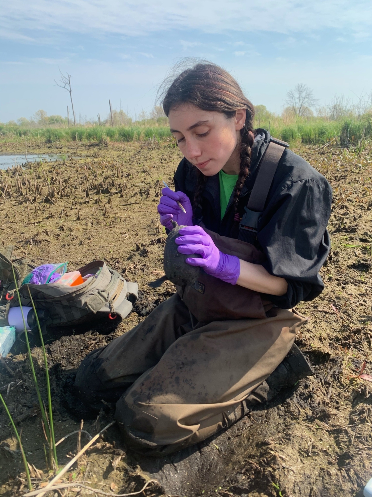 Probe Problems – Wildlife Epidemiology Laboratory