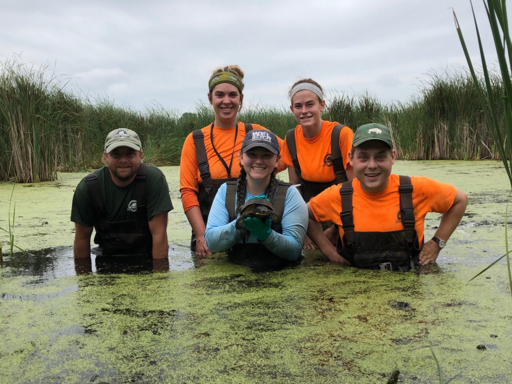The one where the field season ends – Wildlife Epidemiology Laboratory