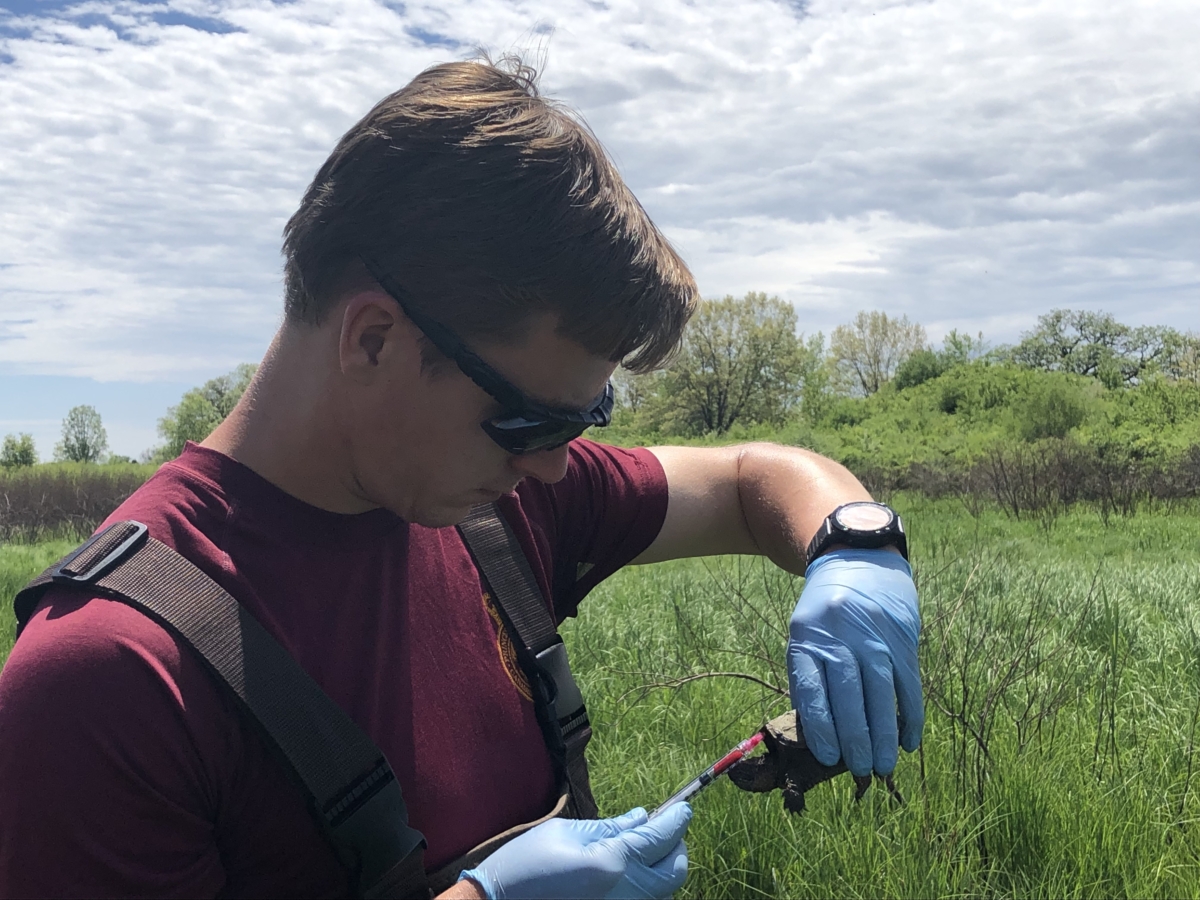 An Introduction to the Field Season! – Wildlife Epidemiology Laboratory