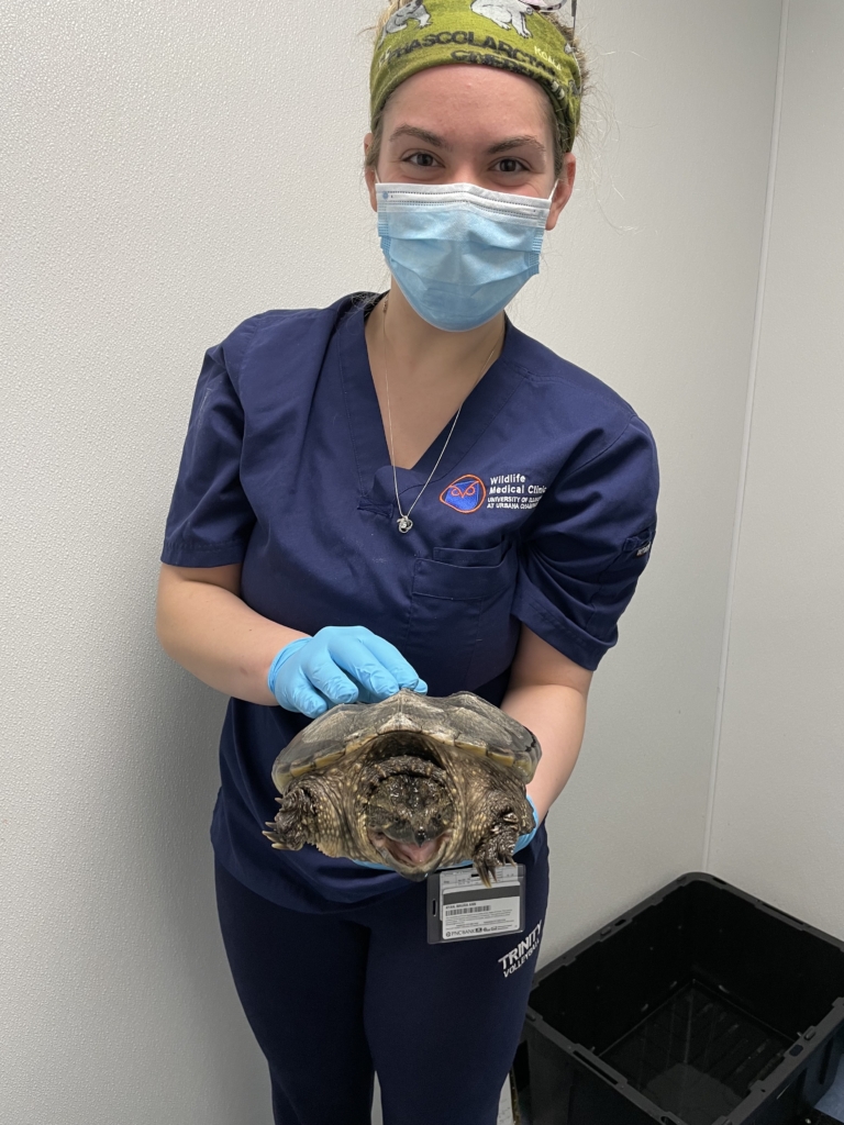 Welcome to Kane County Field Season! – Wildlife Epidemiology Laboratory