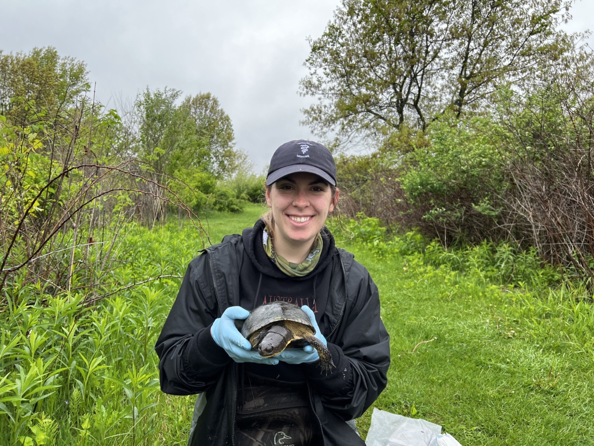 People – Wildlife Epidemiology Laboratory