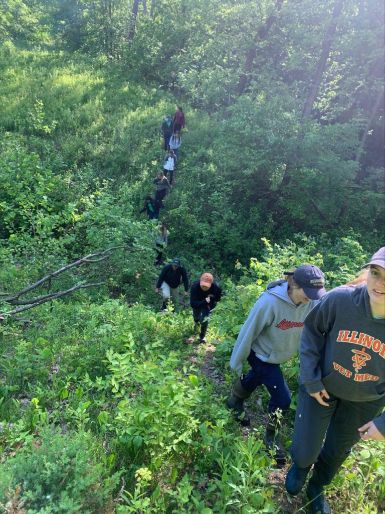 Turtle Teams – Wildlife Epidemiology Laboratory