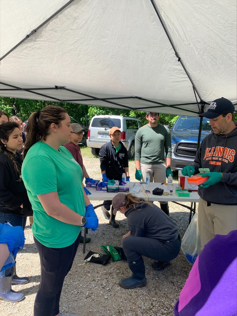 Turtle Teams – Wildlife Epidemiology Laboratory