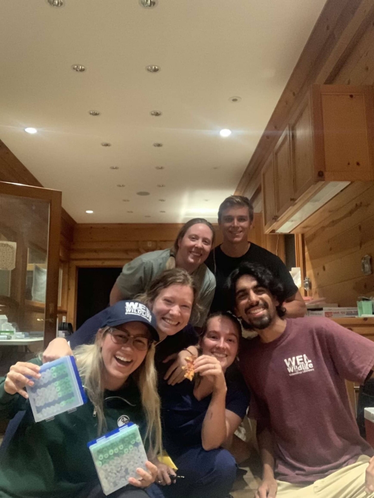 Shrek Took My Phone – Wildlife Epidemiology Laboratory